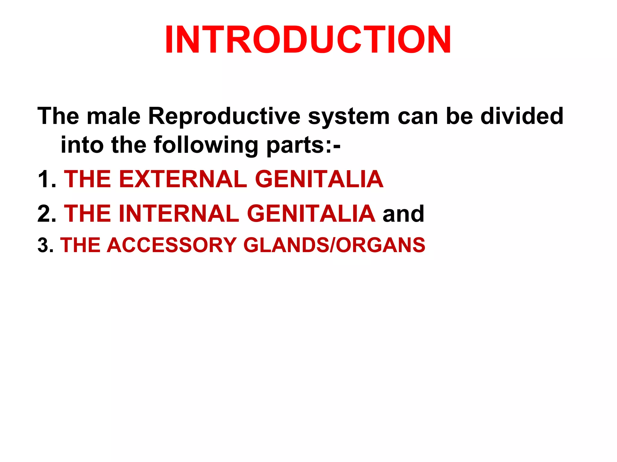 LECT. 13 MALE REPRODUCTIVE SYSTEM.ppt | Sexual Conditions | Sexual Health