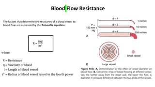 Lect. 8 - PPatterns and Physics of Blood Flow. Arteries. Arterioles (5 ...