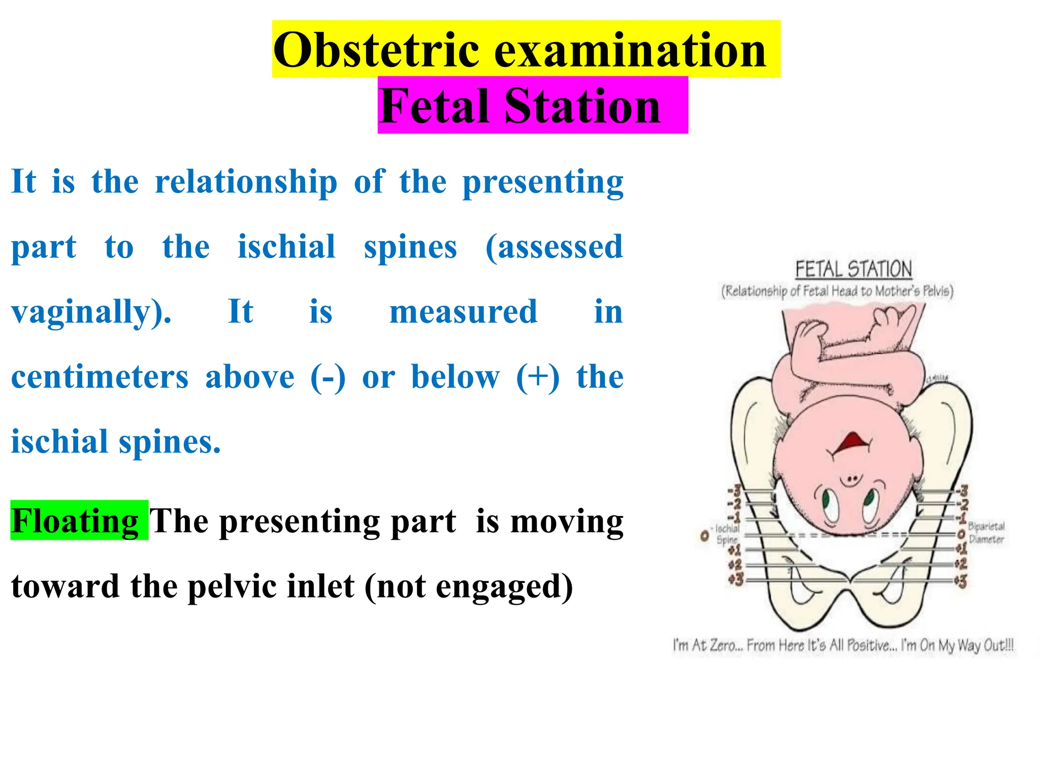 Lect. (3) Antenatal Care fall 2023 ٧.pdf