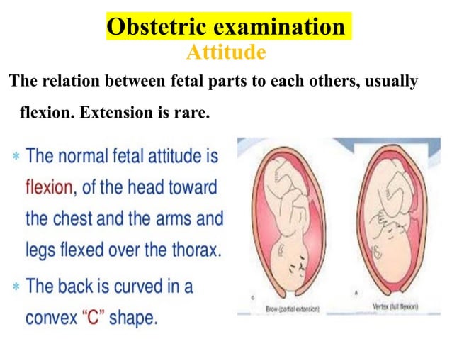 Lect. (3) Antenatal Care fall 2023 ٧.pdf