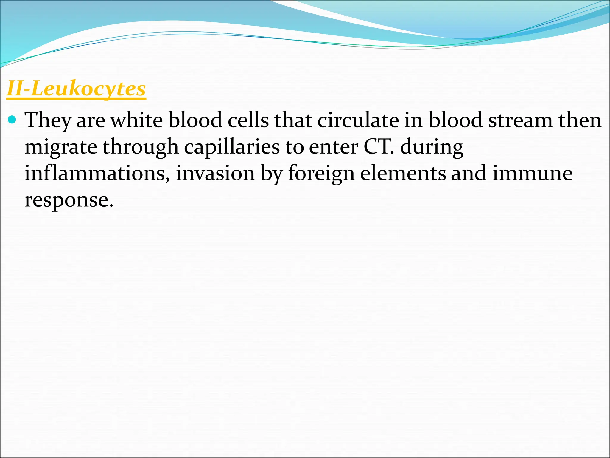 Lect.3.Connective tissue.ppt for the bams | PPT
