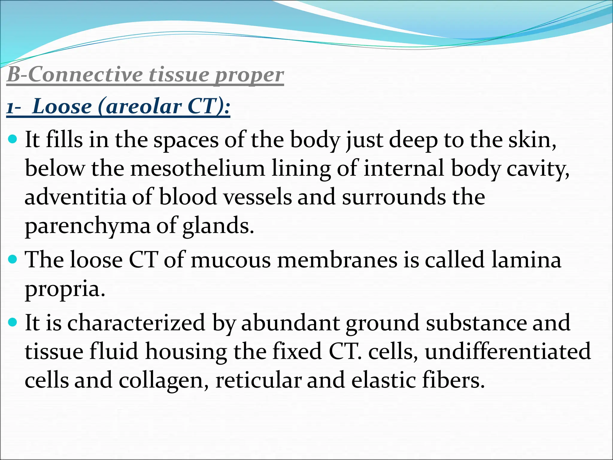 Lect.3.Connective tissue.ppt for the bams | PPT