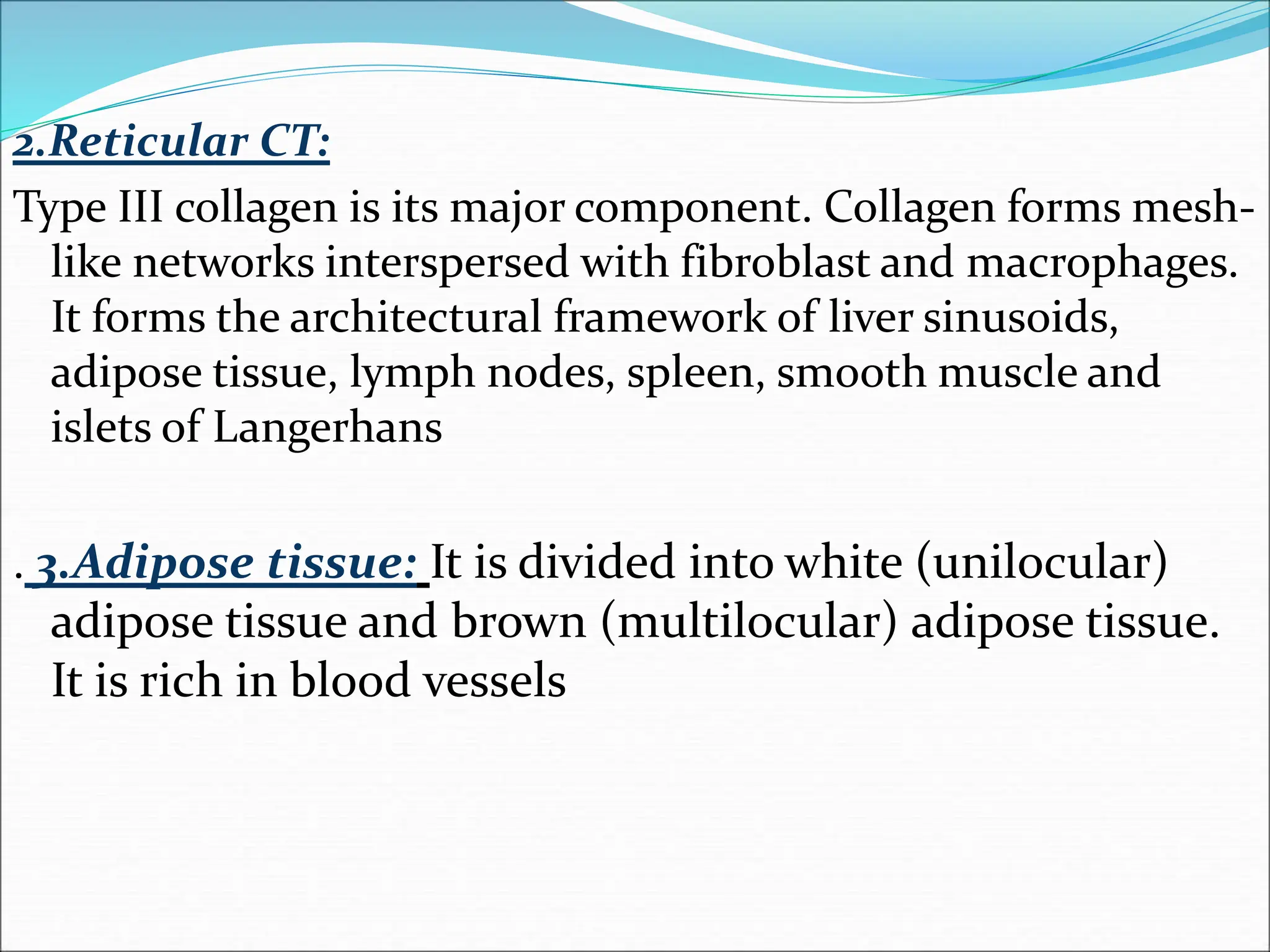 Lect.3.Connective tissue.ppt for the bams | PPT