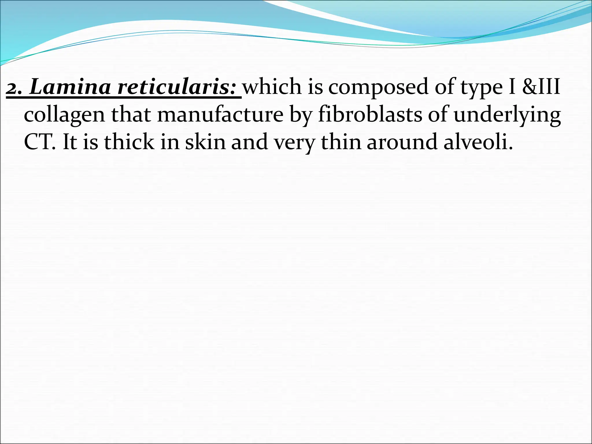 Lect.3.Connective tissue.ppt for the bams | PPT