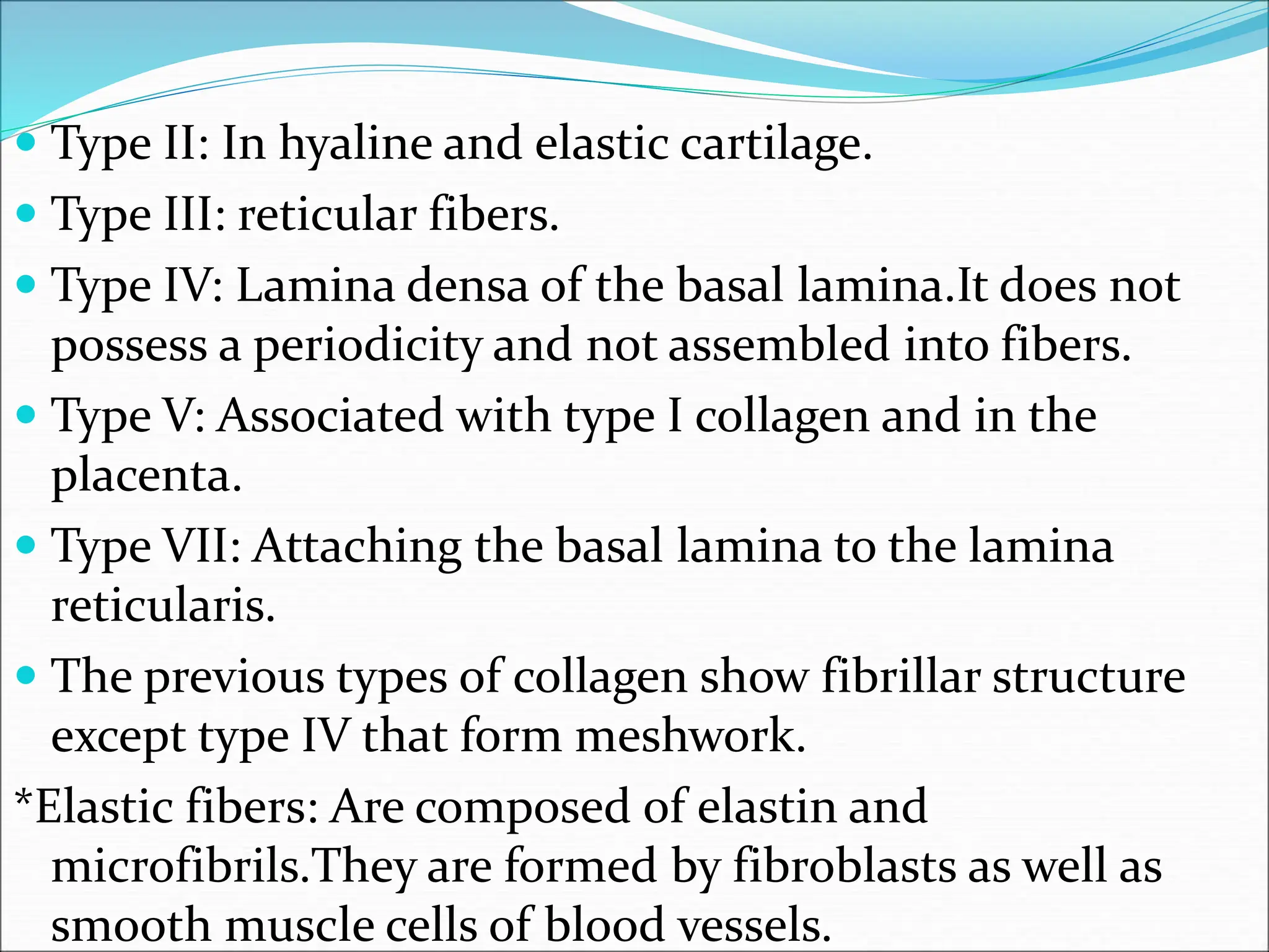 Lect.3.Connective tissue.ppt for the bams | PPT
