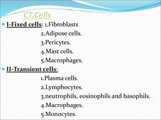 Lect.3.Connective tissue.ppt for the bams | PPT
