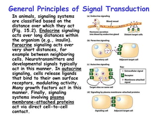 lect- signal transduction and protein coupled receptors | PPT