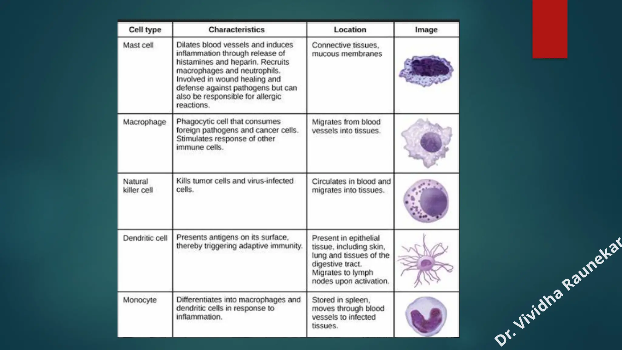 Introduction and Types of Immunity: Innate and Adaptive | PPT