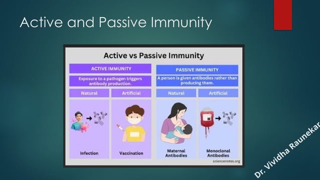 Introduction and Types of Immunity: Innate and Adaptive | PPT