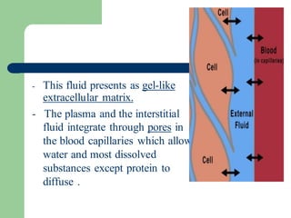 Lect. 4 Body Fluids.pdfBody fluids are c | PPT