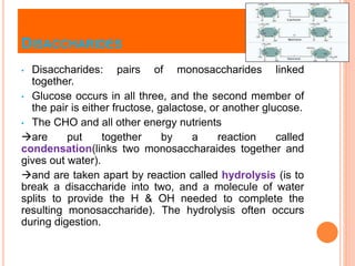 lect-2_and_3_CHO.pptx