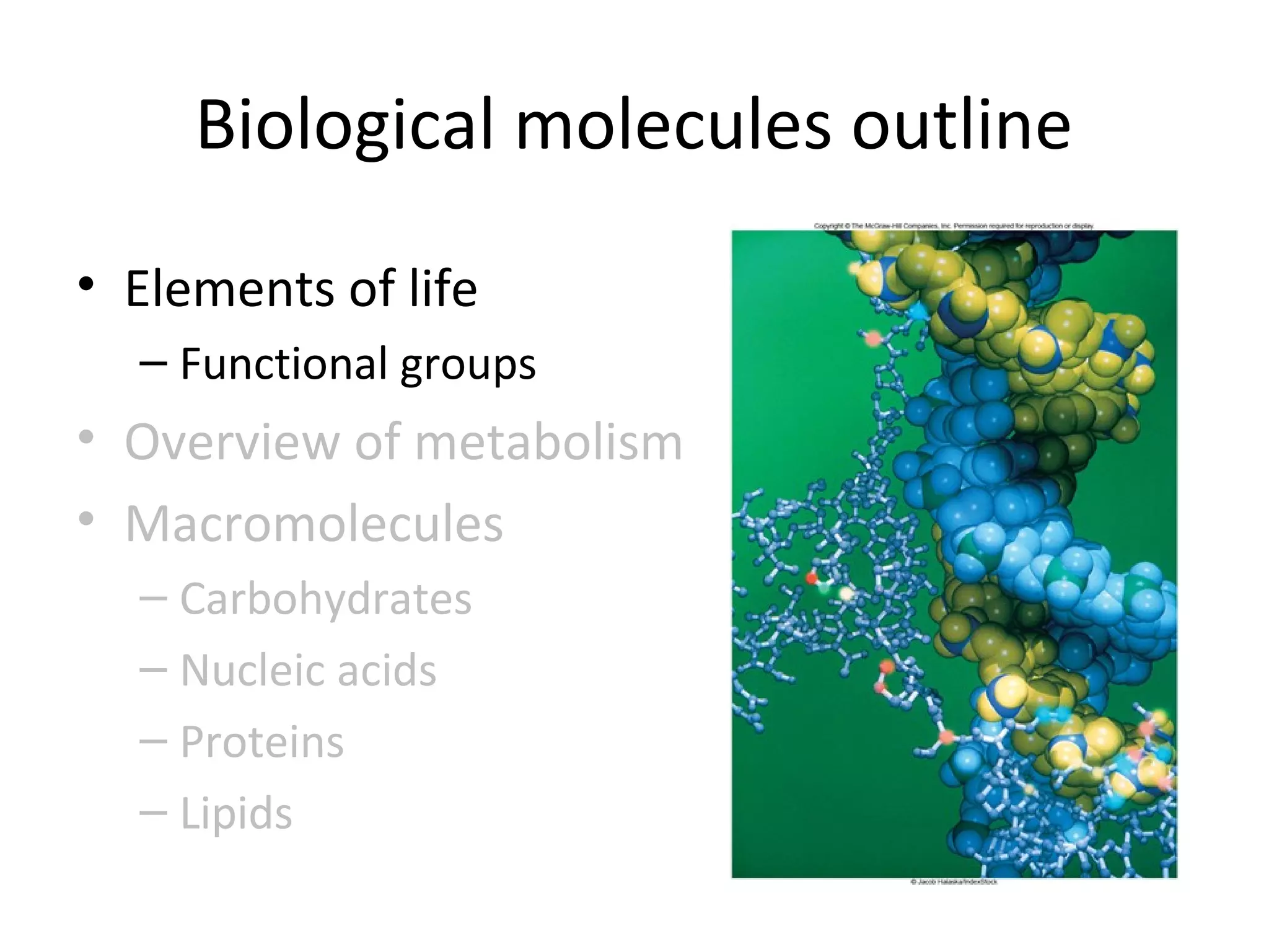 Lect 2 biomolecules-bsc-1010_f13_jc | PPT