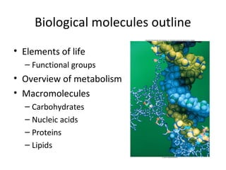 Lect 2 biomolecules-bsc-1010_f13_jc | PPT