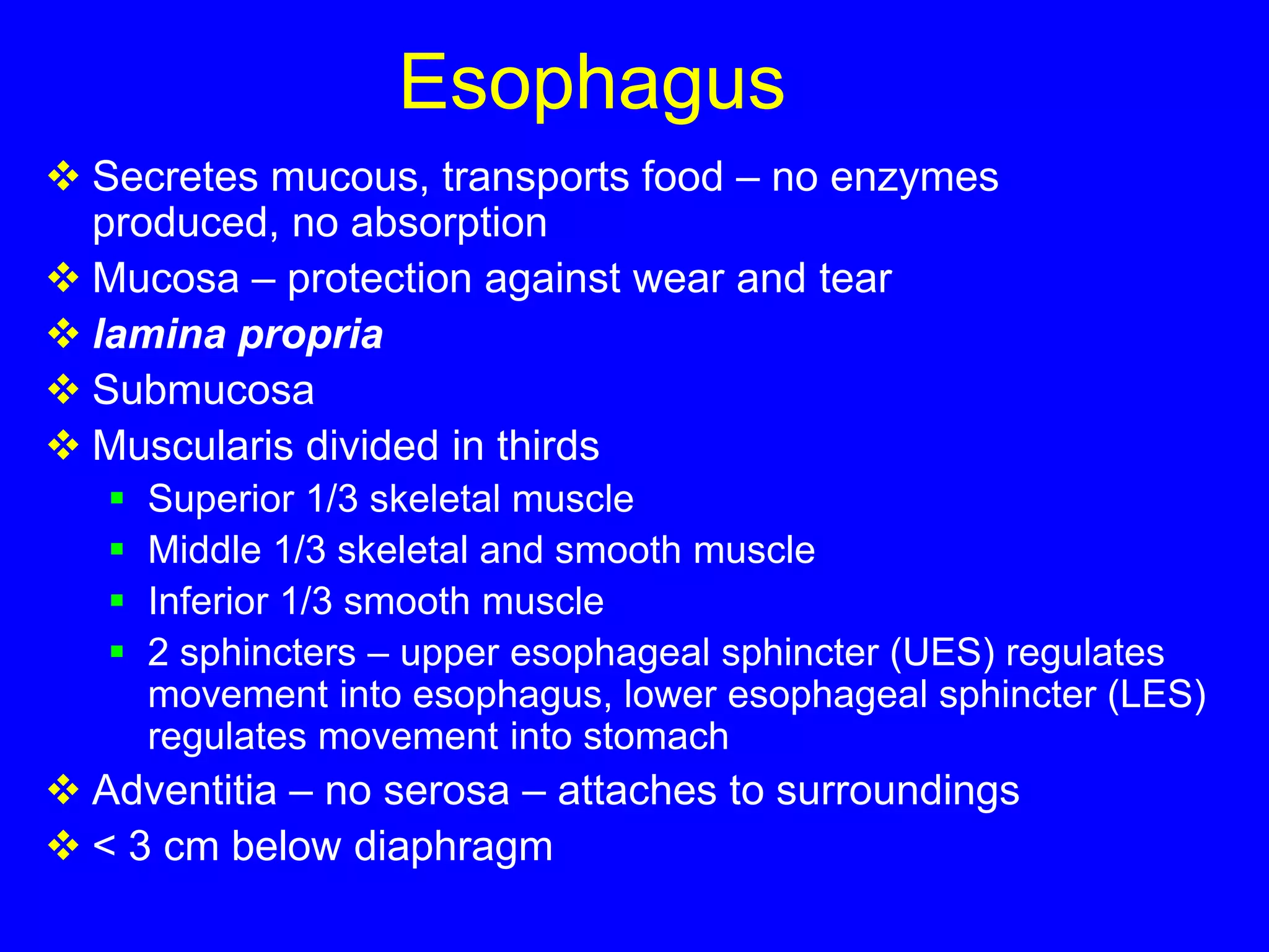 Lect.3.diseases of esophagus | PPTX
