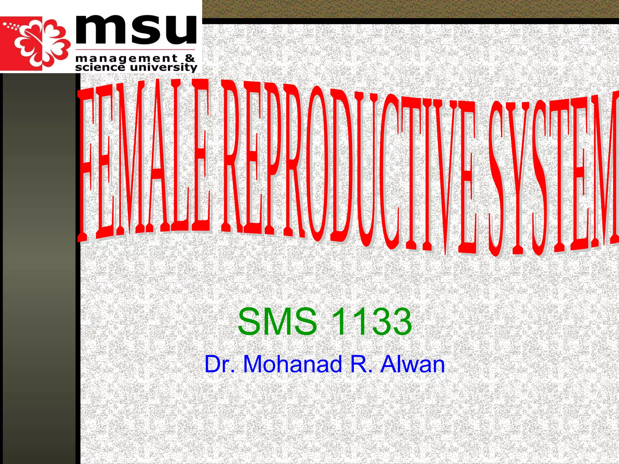 female reproductive system | PPT