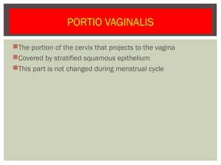 female reproductive system | PPT
