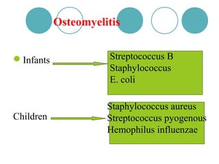 Osteomyelitis | PPT