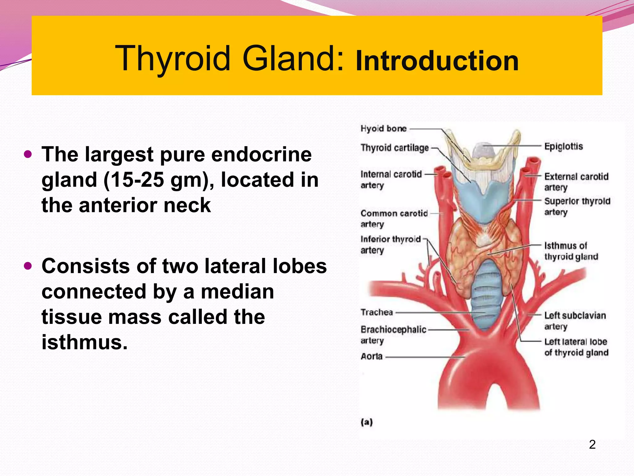 Lect 3-thyroid disorders | PPTX