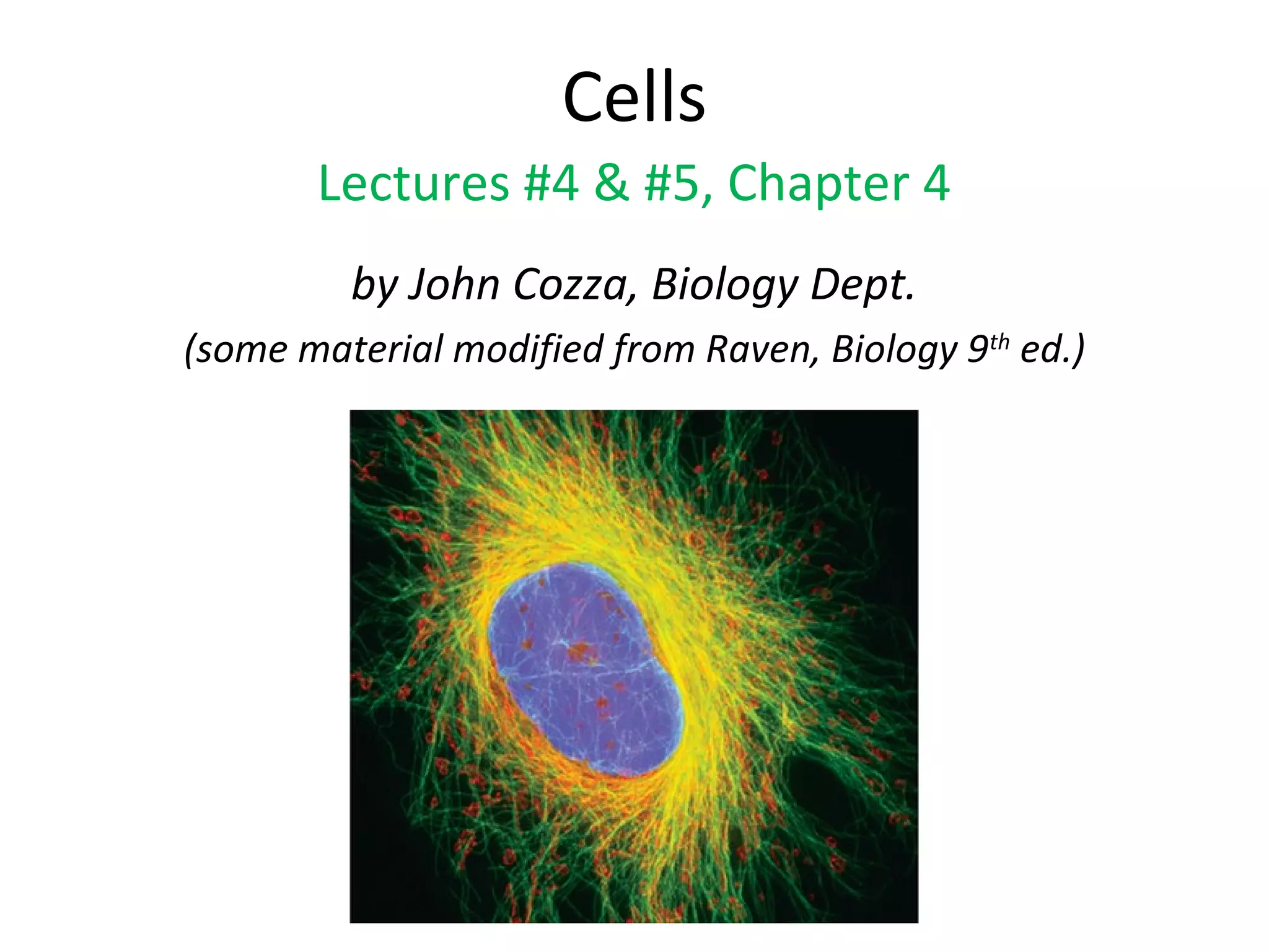 Lect 4-5cellsbsc-1010f13jc-130909123254- | PPT