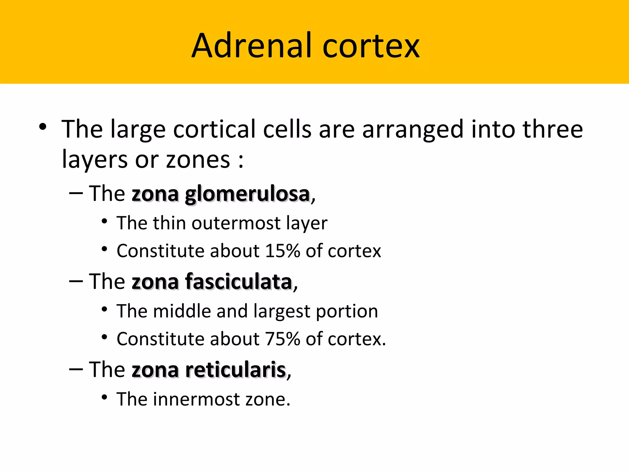 adrenal glands disorder | PPT
