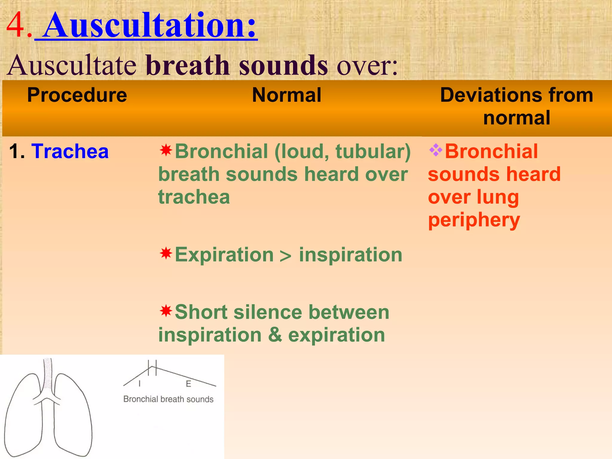 thoracic & lung assessment | PPT