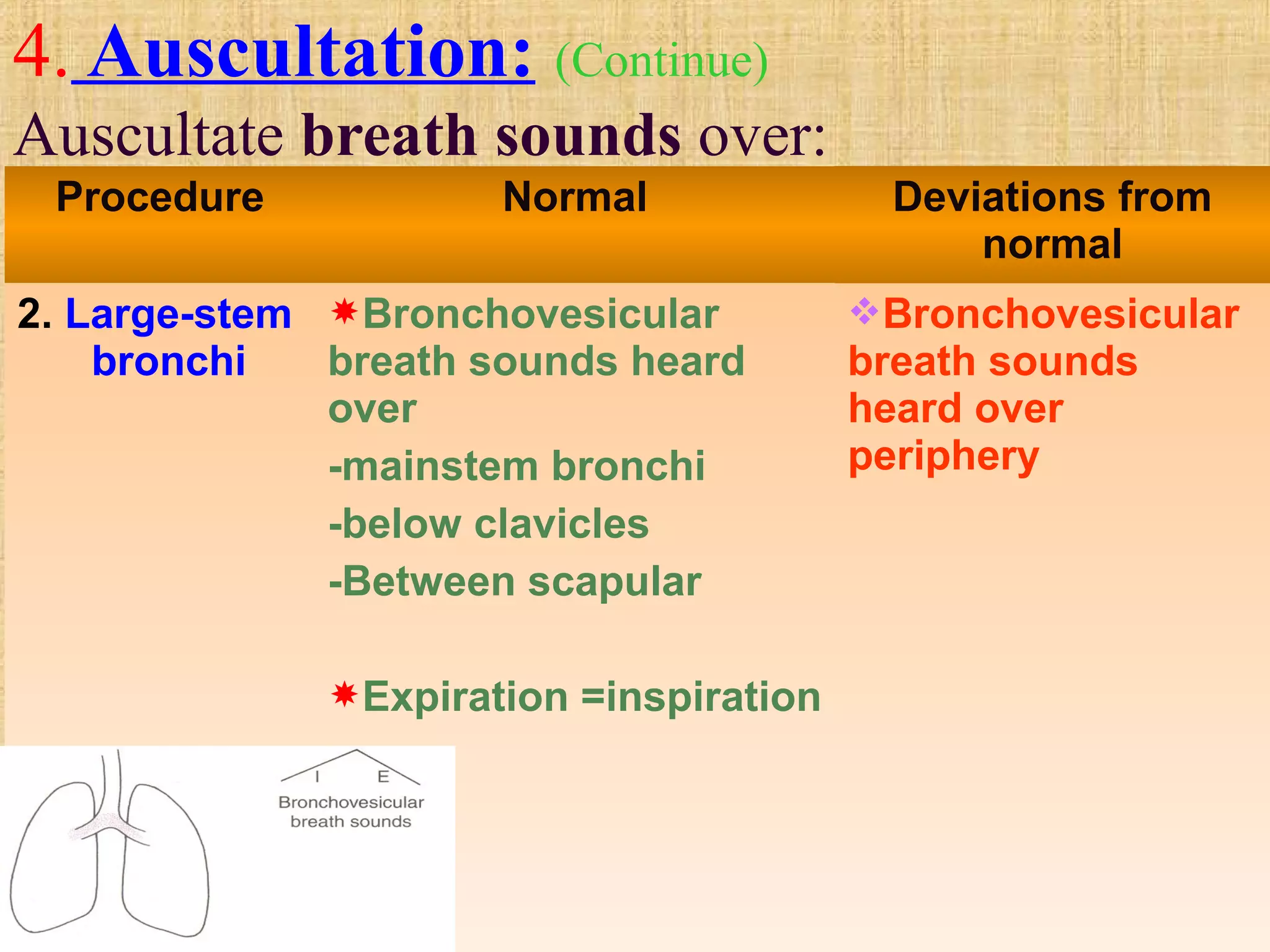 thoracic & lung assessment | PPT
