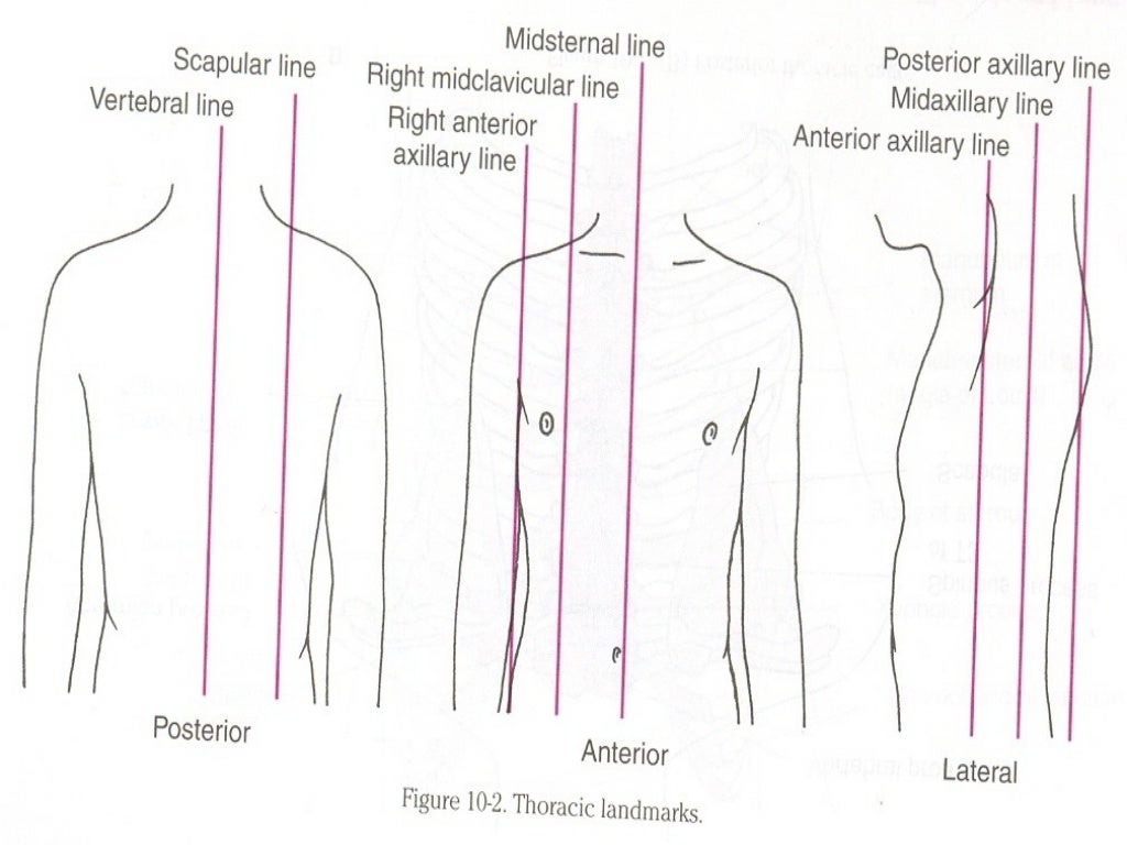 thoracic & lung assessment