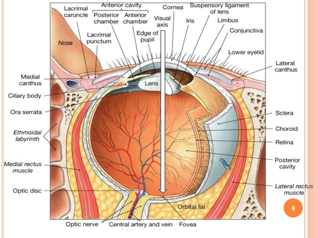 Lect 02 first portion | PPT