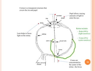 Lect 02 first portion | PPTX