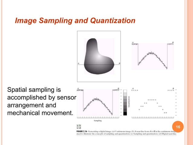 Lect 02 second portion | PPTX
