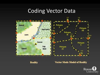 Data Models - GIS I | PPT