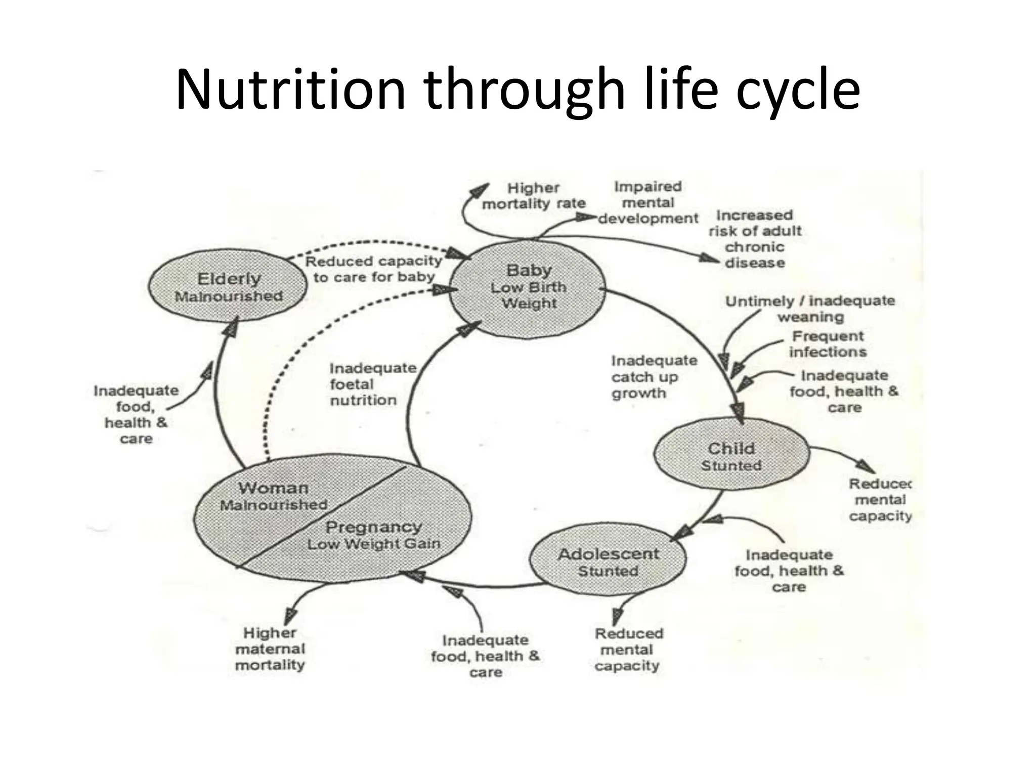 Lect 1. A Life course approach.pptx human | PPTX