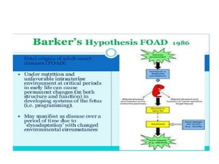 Lect 1. A Life course approach.pptx human | PPTX
