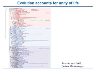 Chapter 1: Evolution and the Themes of Biology | PPTX