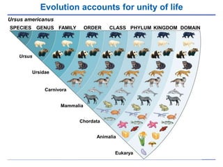Chapter 1: Evolution and the Themes of Biology | PPT
