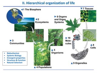 Chapter 1: Evolution and the Themes of Biology | PPTX
