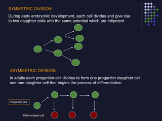 Lect 1- INTRODUCTION TO STEM CELLS.ppt