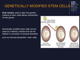 Lect 1- INTRODUCTION TO STEM CELLS.ppt