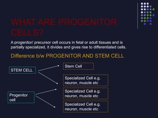 Lect 1- INTRODUCTION TO STEM CELLS.ppt | Pregnancy | Reproductive Health