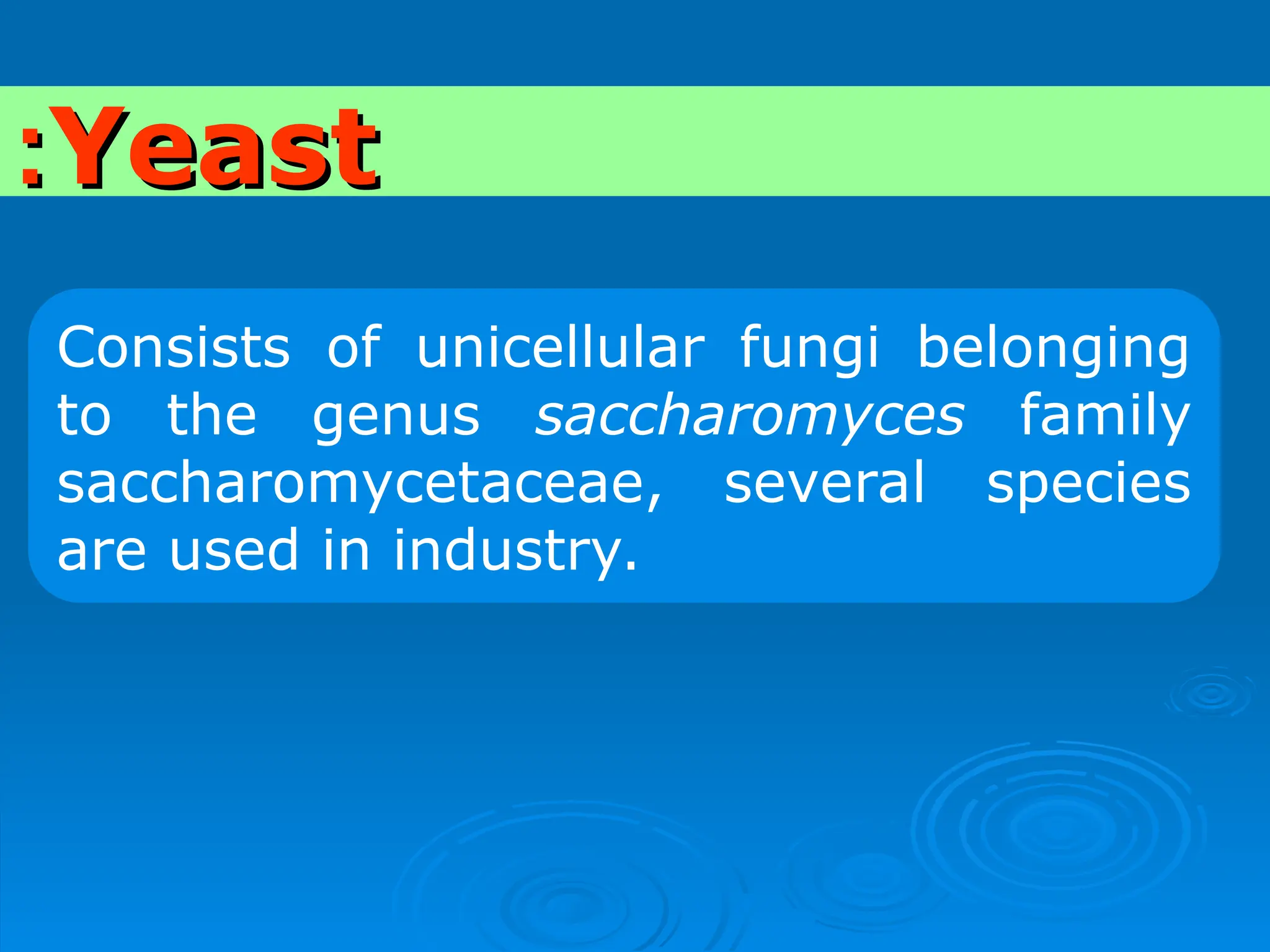 Corns rhizome roots tubers and bulb organs | PPT