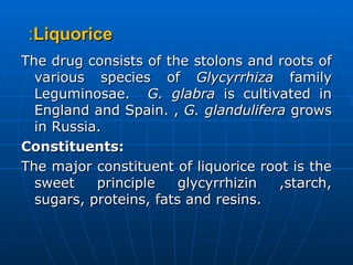 Corns rhizome roots tubers and bulb organs | PPT