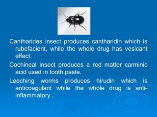 Corns rhizome roots tubers and bulb organs | PPT