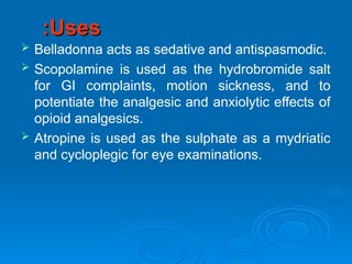 Corns rhizome roots tubers and bulb organs | PPT