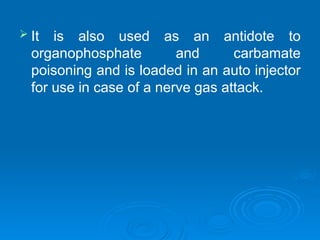 Corns rhizome roots tubers and bulb organs | PPT