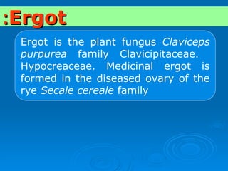 Corns rhizome roots tubers and bulb organs | PPT