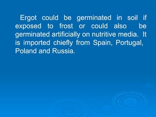 Corns rhizome roots tubers and bulb organs | PPT