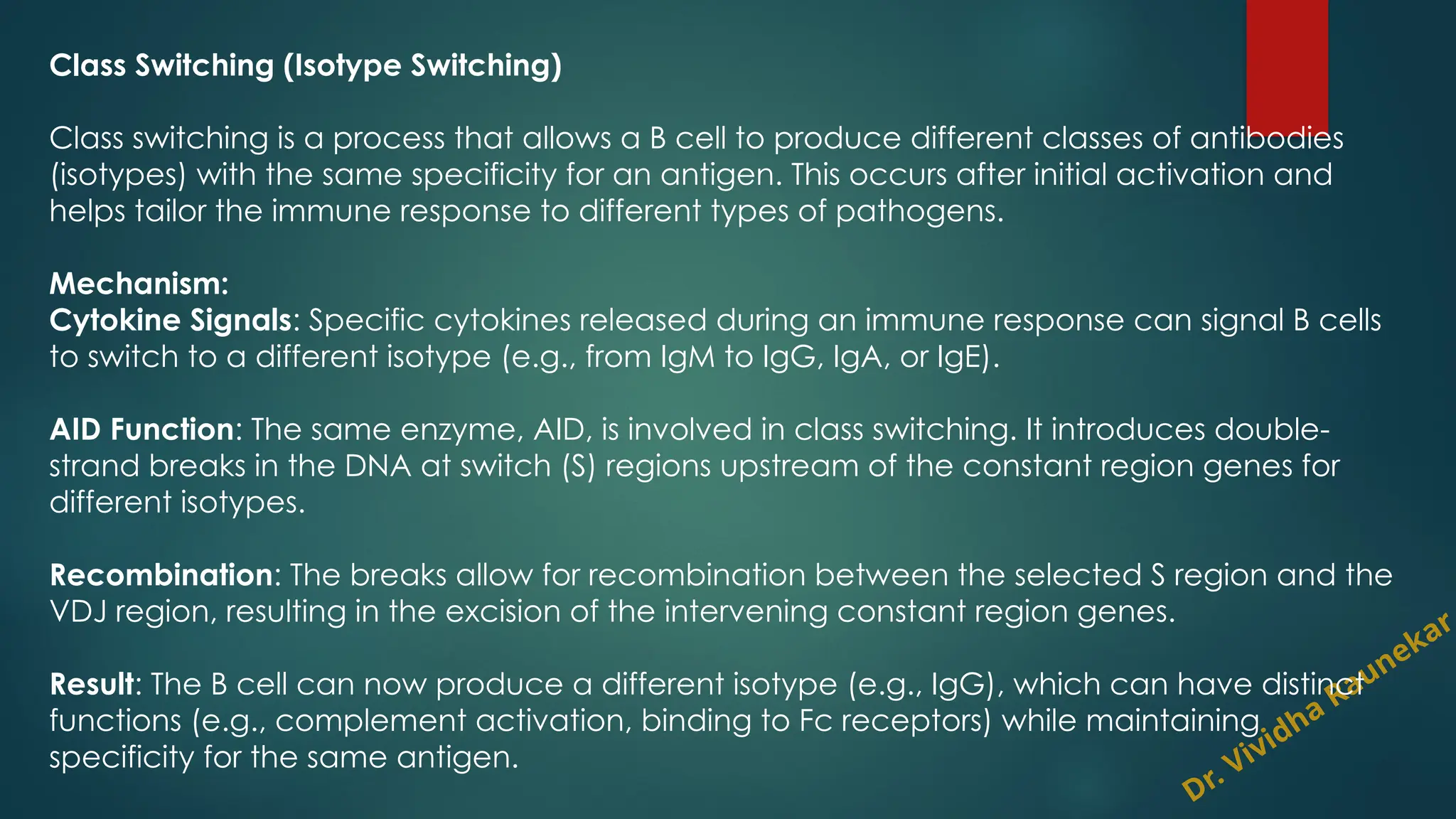 Multigene organization, recombination and Generation of antibody ...