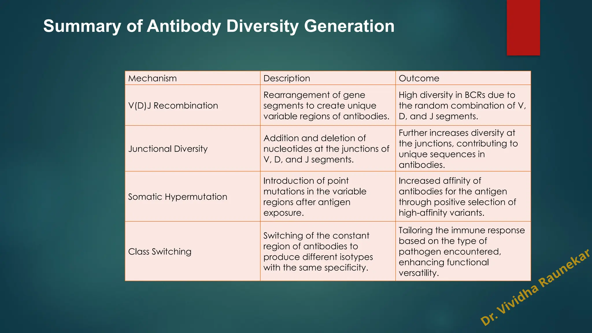 Multigene organization, recombination and Generation of antibody ...