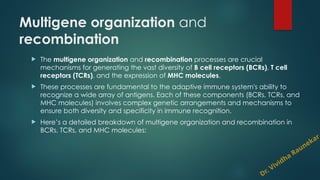 Multigene organization, recombination and Generation of antibody ...