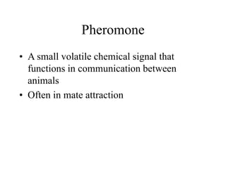 CHEMICAL SIGNALS IN ANIMALS.ppt